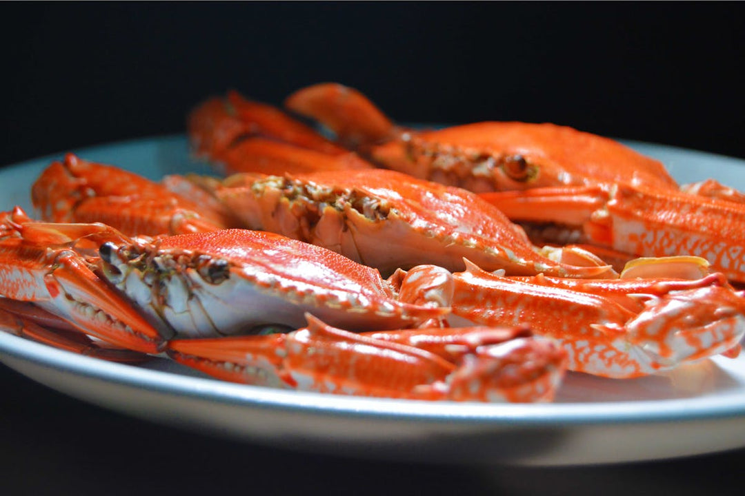 Omega-3 en Pescado: Ranking Completo de los que Más Tienen – Bacalalo