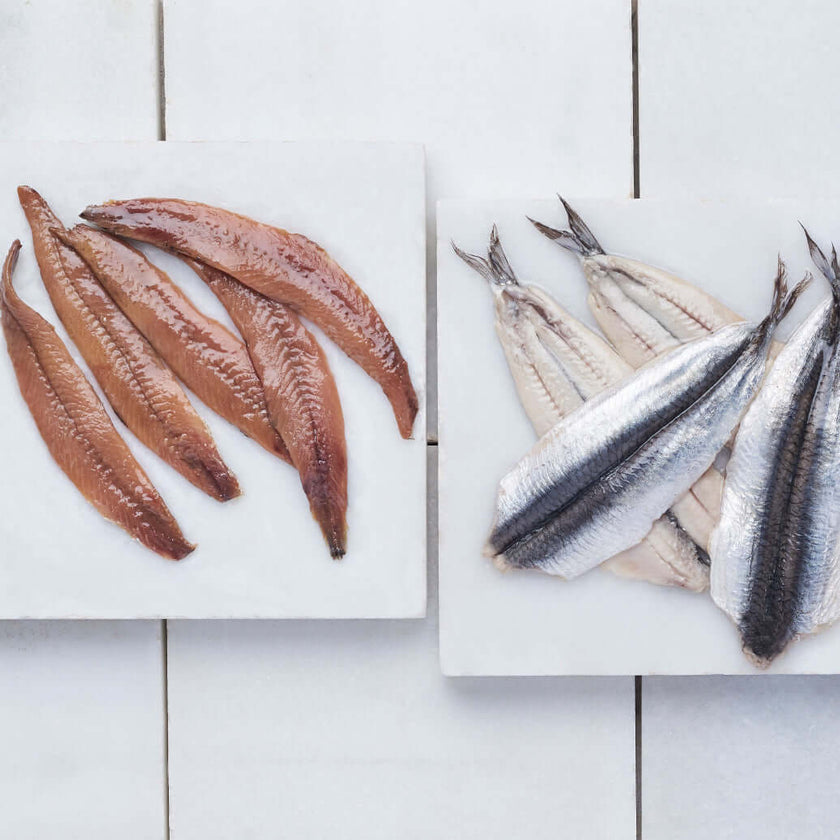Pota vs calamar: diferencias y cuándo elegir cada uno | Bacalalo